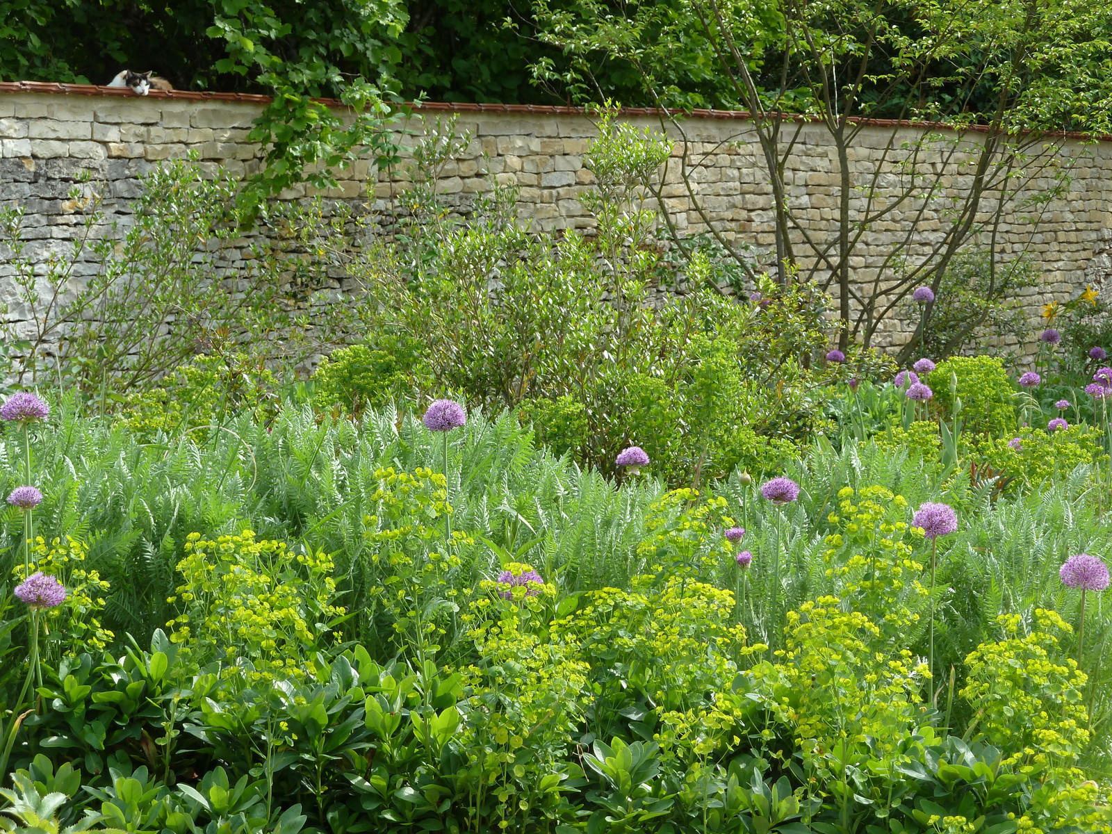 Palette végétale de sol argilo-calcaire - Atelier Alice Tricon ...